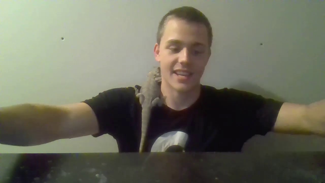 Iktomi and the Coyote - YouTube