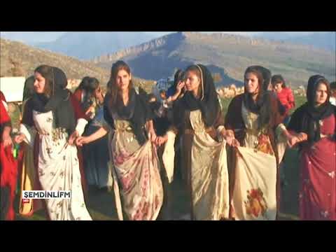 Sirvan Yılmaz - Kürtçe Halay Şarkısı Derecik Düğünleri Yeşilova Navberoja Düğünleri 2020