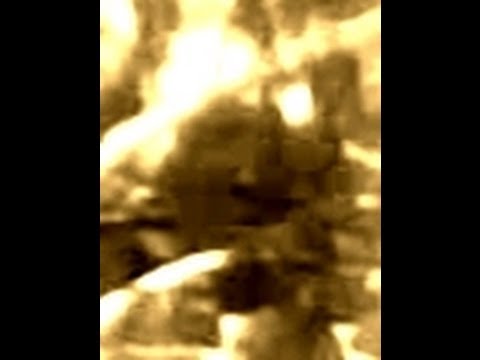 The Handsome Bigfoot April 13th 2013 - YouTube