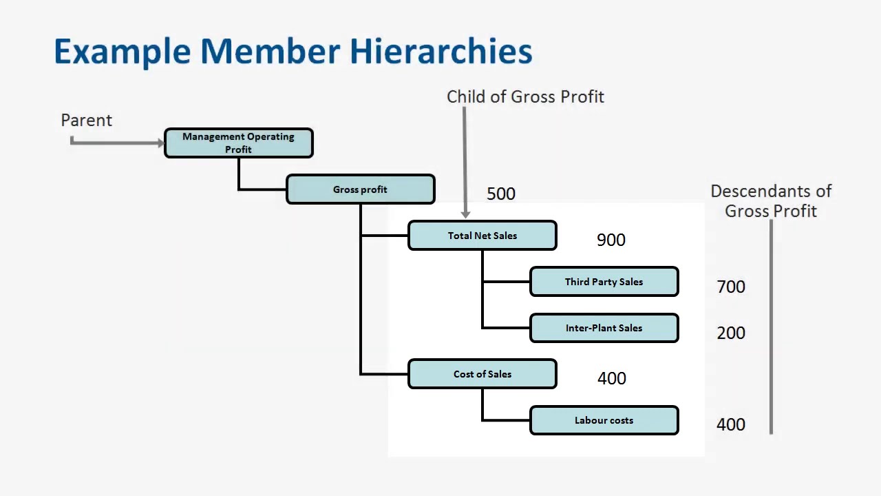 Hierarchical Dimensions and Smart View - Smart View Training Course ...
