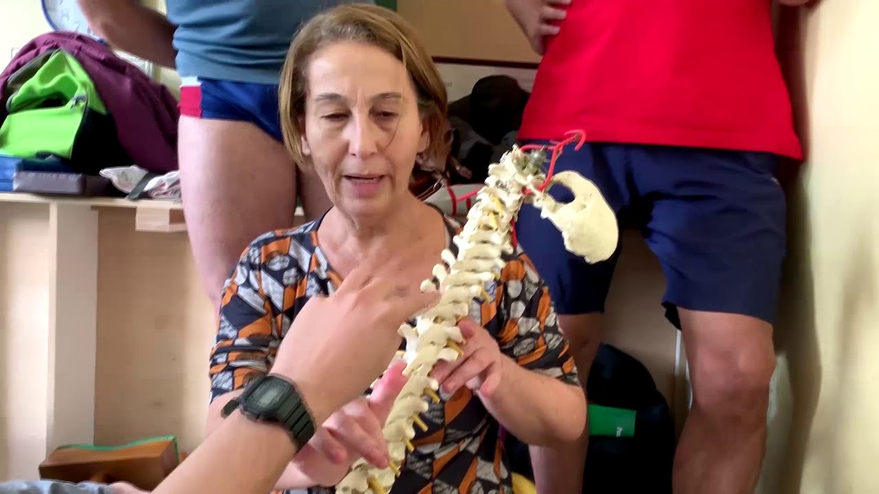 Curso Seitai Manual e Seitai Martelos - Osteofitose na prática - YouTube