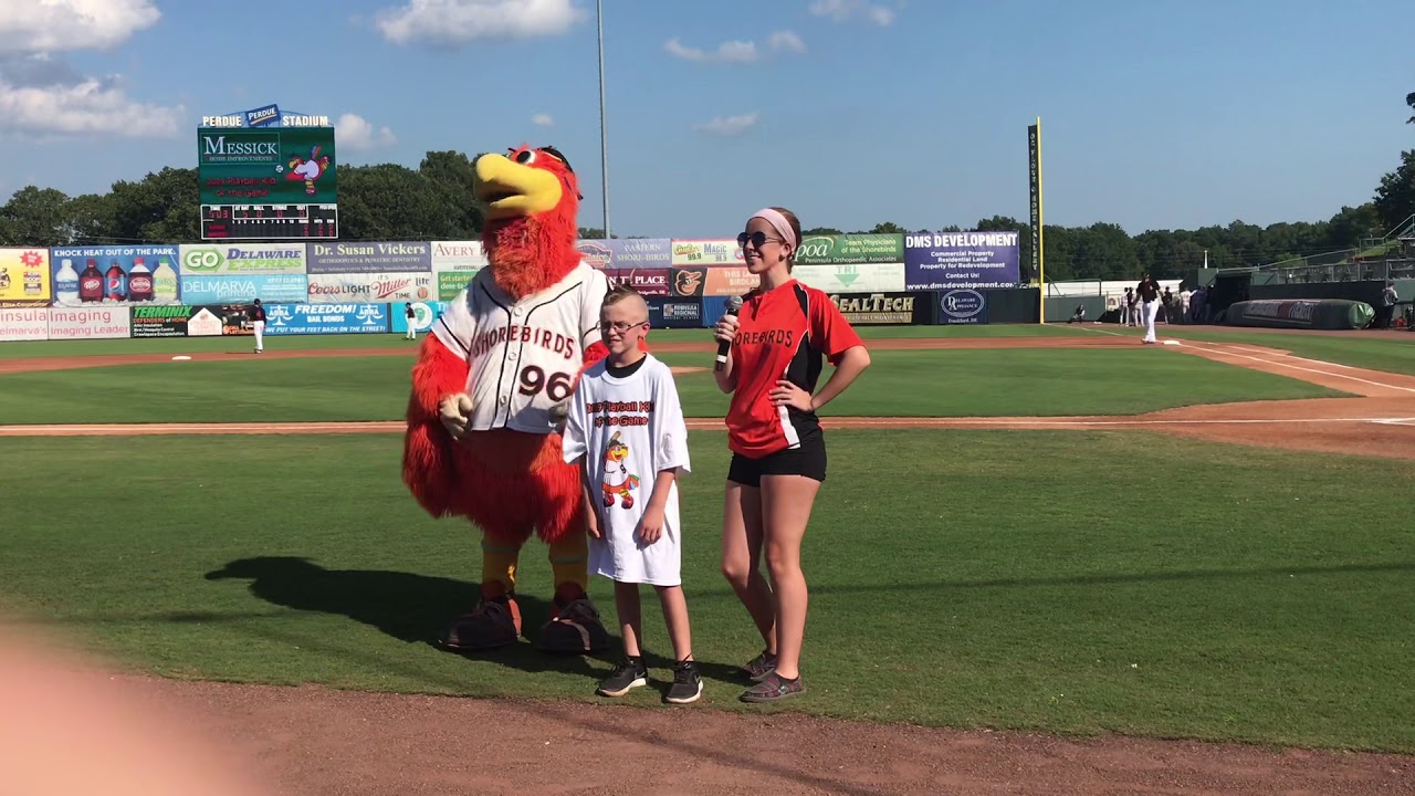 Delmarva Shorebirds 2019 Play Ball Kid of the Game - YouTube