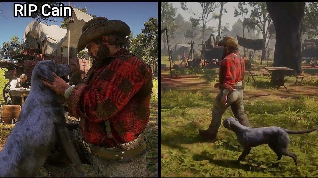 Did You Know That Cain Was Bill's Dog - RDR2 - YouTube