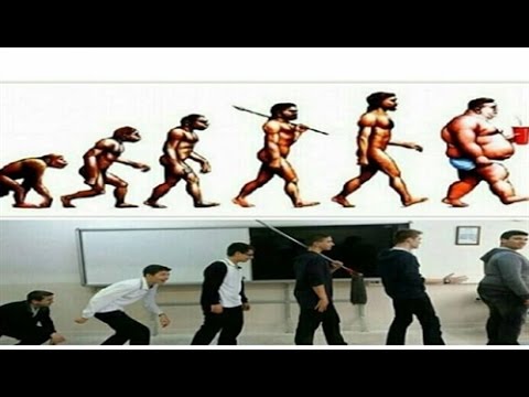Çılgın Öğrencilerin Çılgın ve Aşırı Komik Eserleri