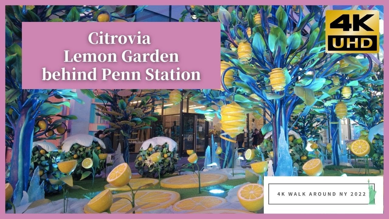 Citrovia behind Penn Station Walk around NY 2022 4K - YouTube