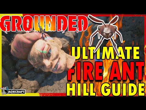 Where Are The Fire Ants In Grounded