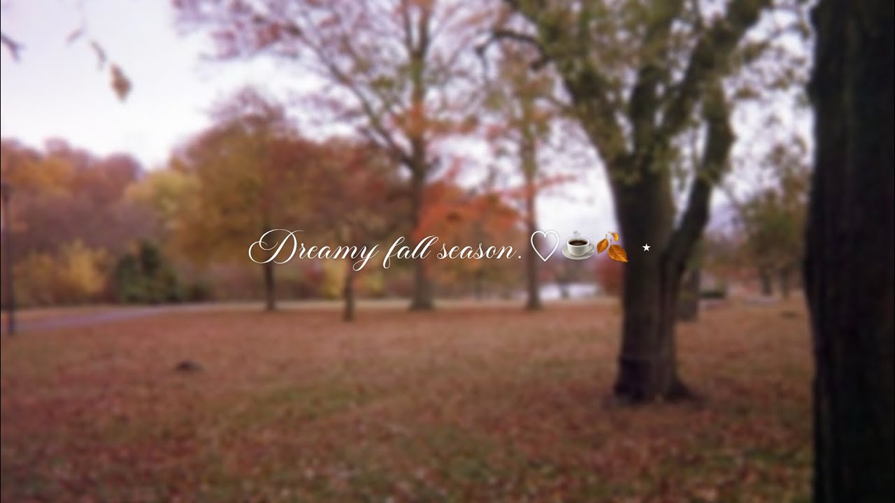 𝓇omanticize autumn: dream life, maximum level of beauty & spooky season ...