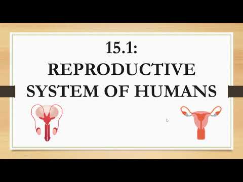 Chapter 15 Sexual Reproduction, Development and Growth in Humans and Animal