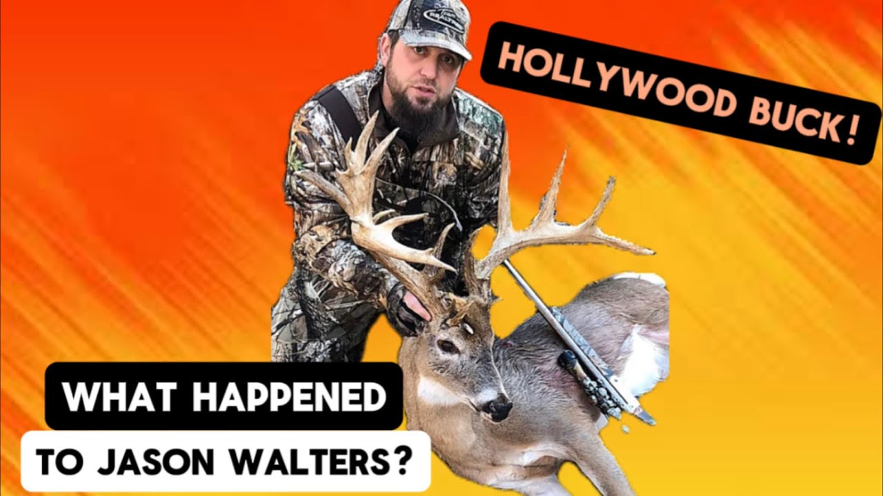 What Happened to the Poacher of the Hollywood Buck?🤔 - YouTube