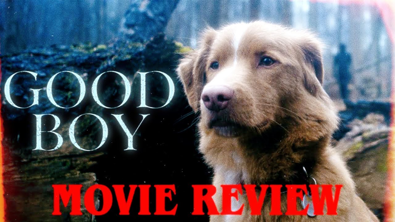 Good Boy - Movie Review - YouTube