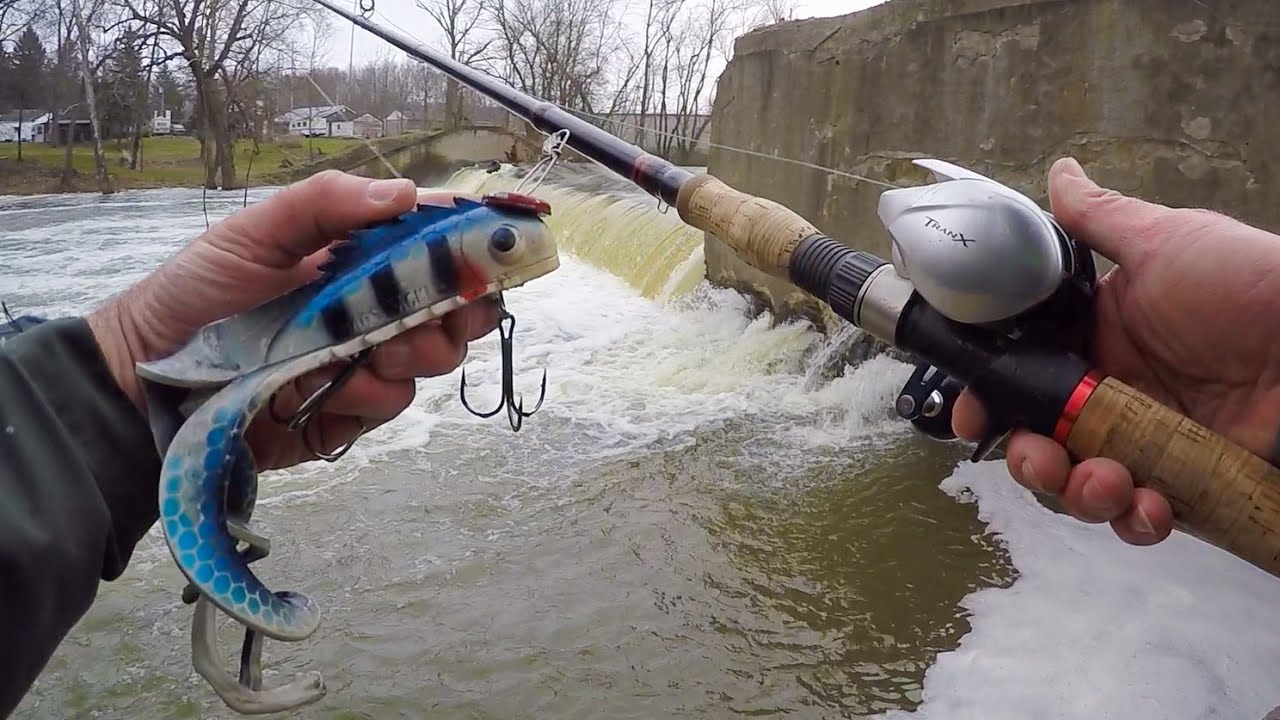 MUSKY FISHING FROM SHORE!! - Late Winter River Muskies - YouTube