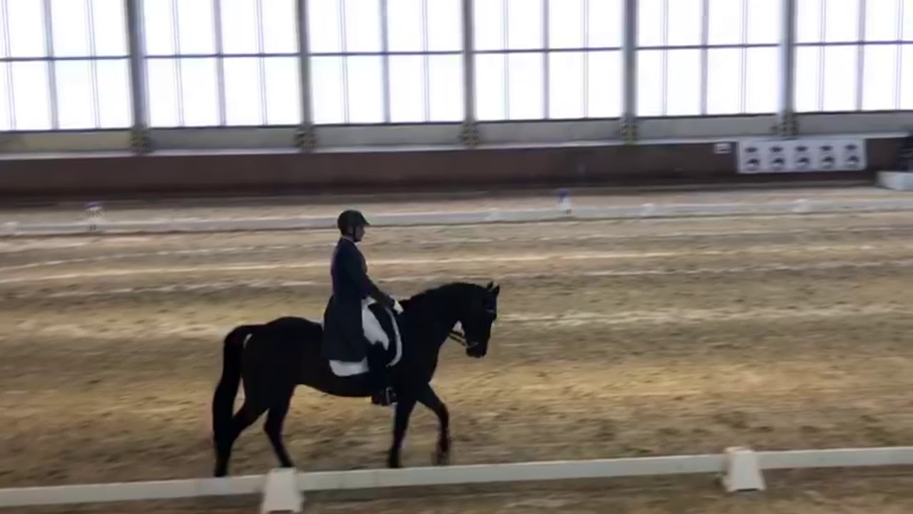 Kur YR Lion King Adri & Walt Disney - YouTube