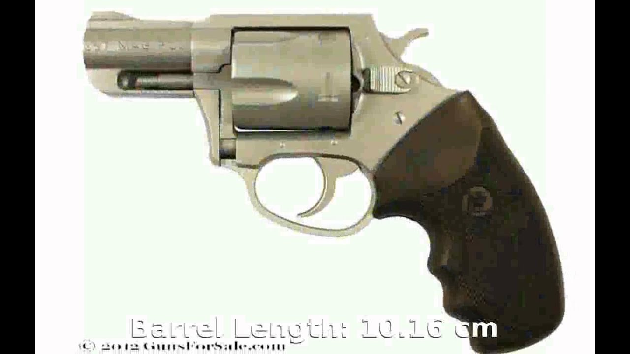 Charter Arms Mag Pug SS Target .357 Magnum Revolver - YouTube