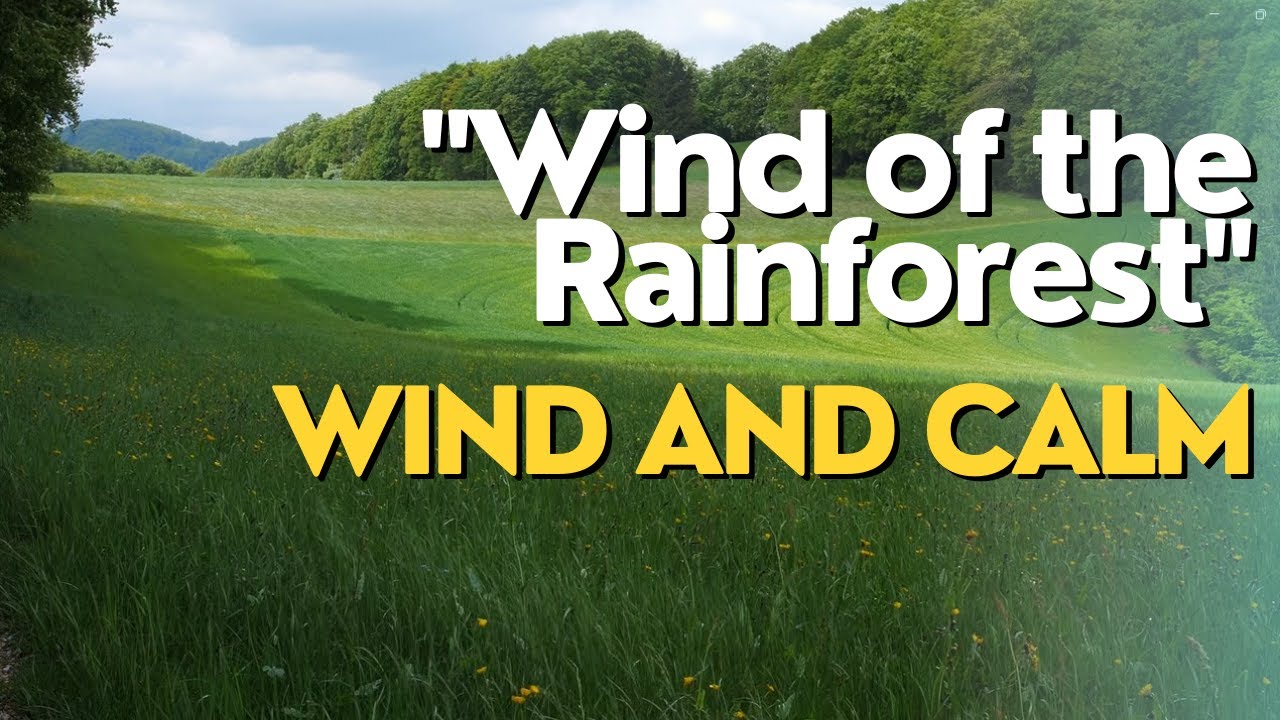 "Wind of the Rainforest" - "Vento da Floresta Tropical" - YouTube