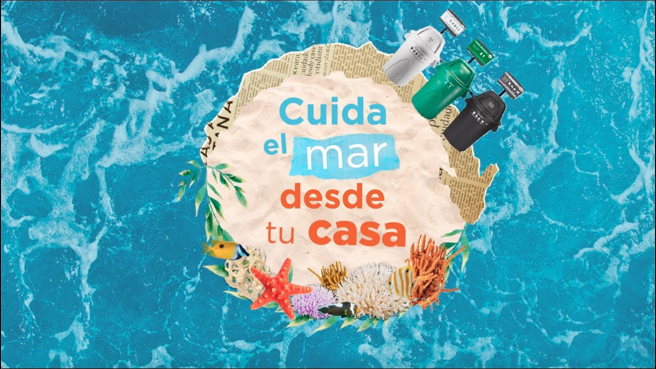 Cuida el mar desde tu casa - YouTube