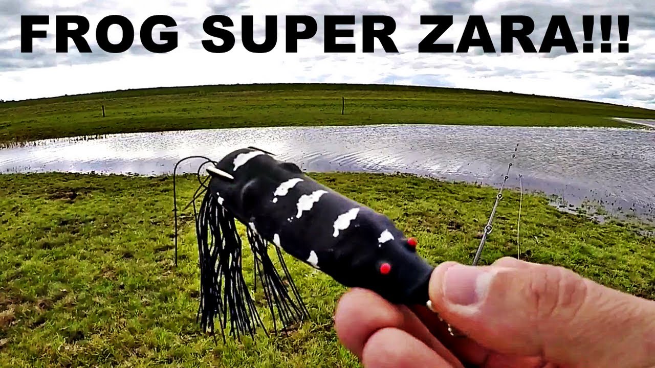 FROG SUPER ZARA - PESCA DE TRAIRA COM ARTIFICIAL - FROG HOPLIAS - YouTube