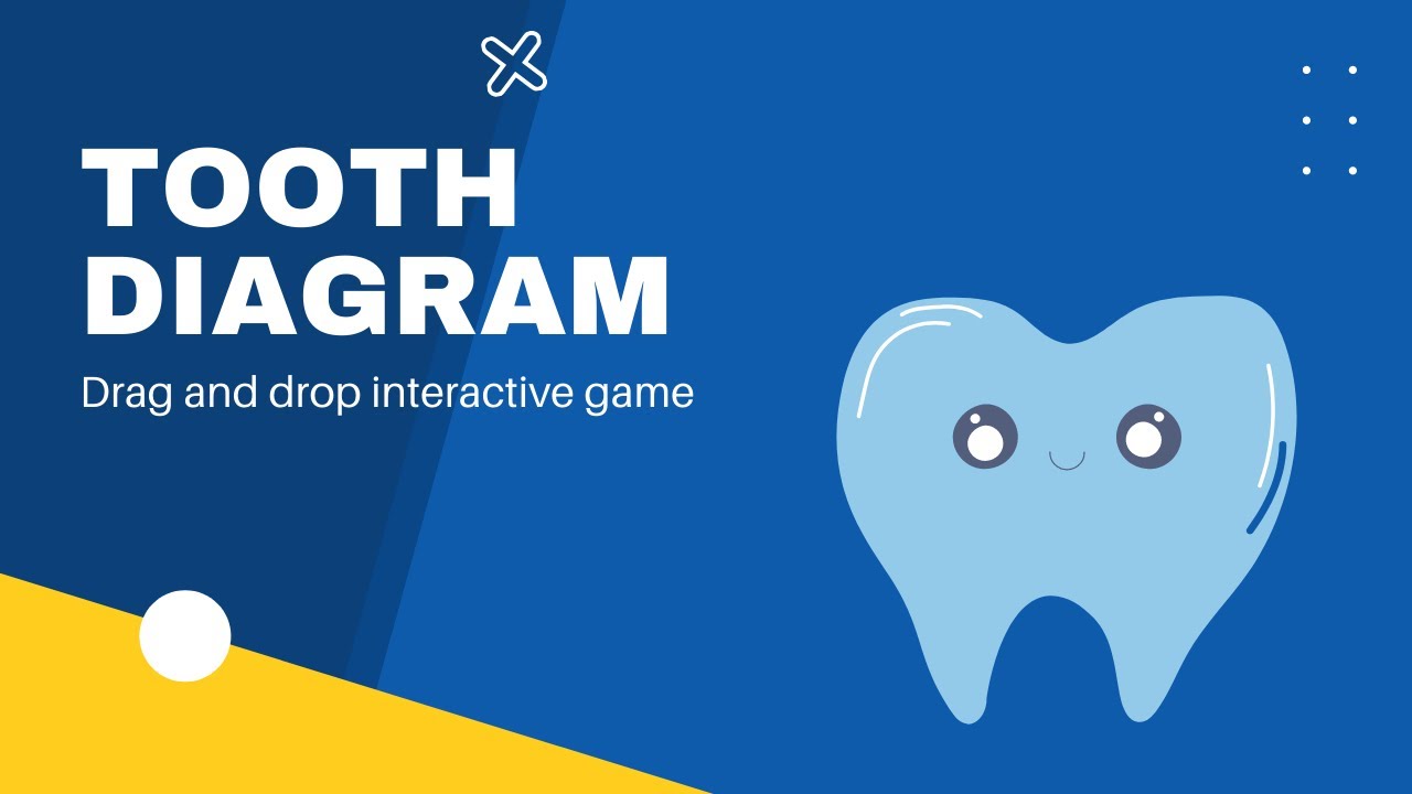 Interactive Tooth diagram Online - Learn How to Label The Tooth In An ...