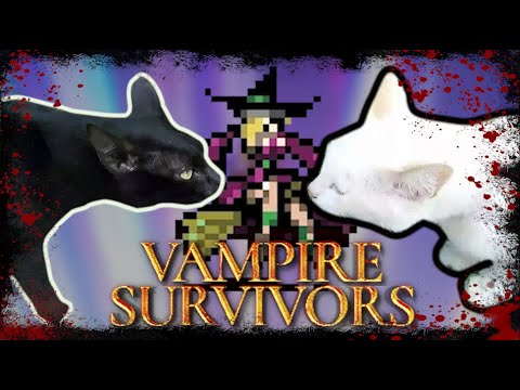 Folle aux chats : un nouvel espoir. (VAMPIRE SURVIVORS 0.5.0) - YouTube