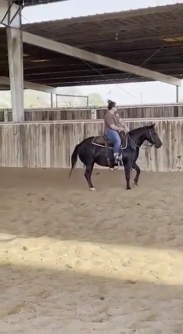 First Time on Macey - Little Macey Rey - Troy Davis Coaching - YouTube
