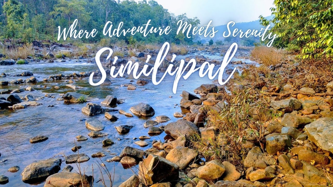 Similipal Wildlife Sanctuary | Cinematic Video | Odisha Holidays - YouTube