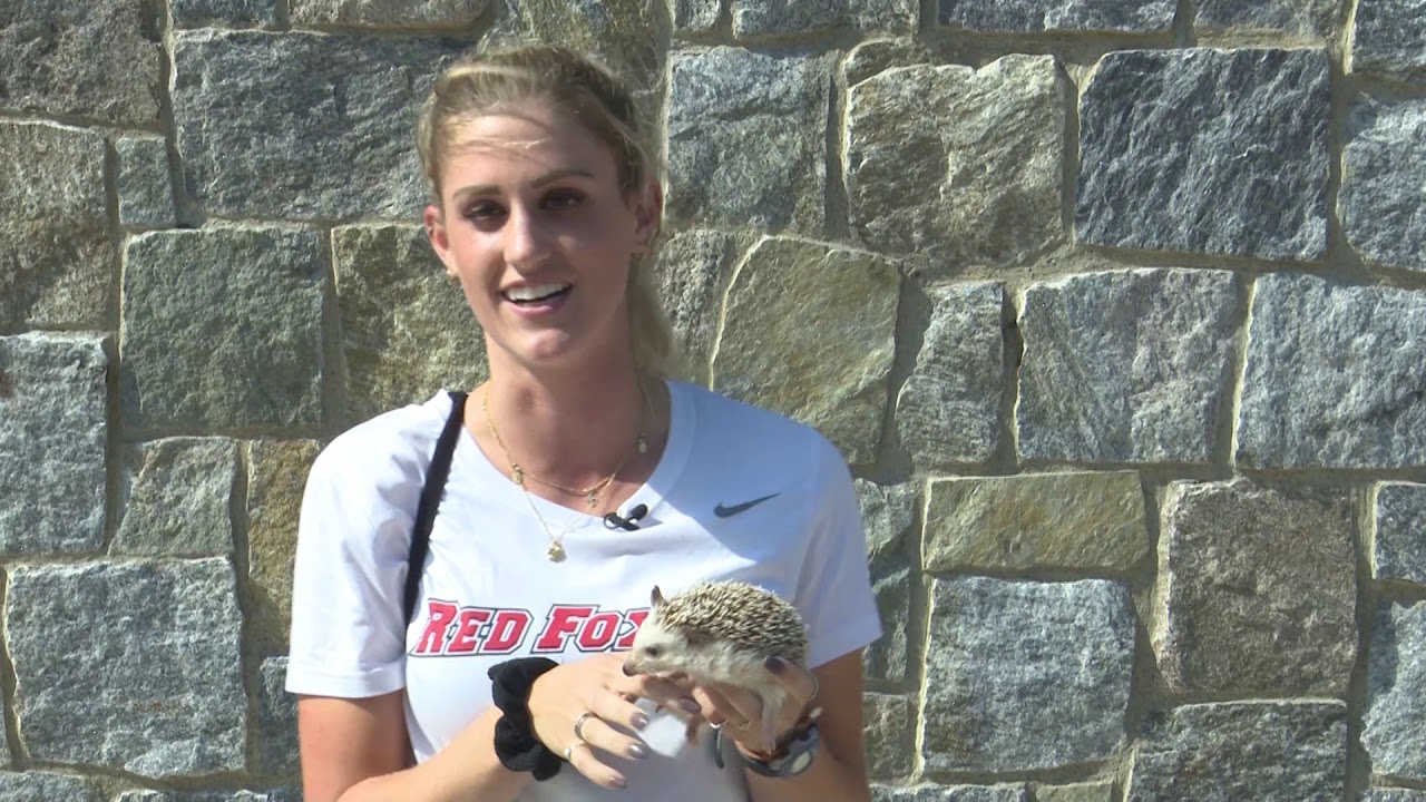 Meet the Foxes: Alyssa Lafave and Quinn - YouTube