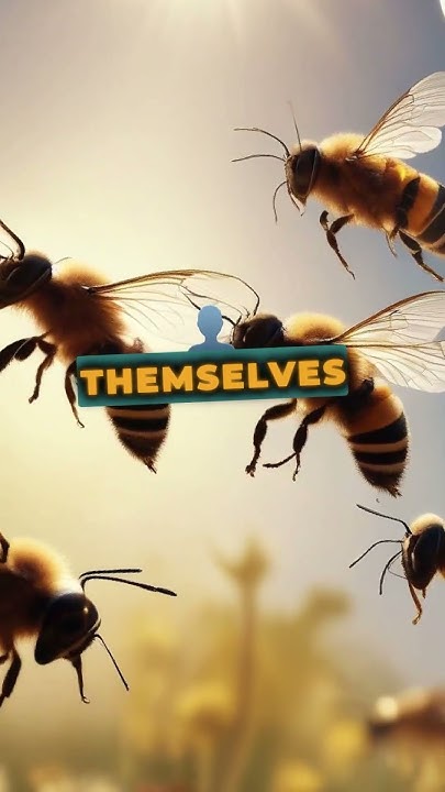 The Battle of the Bees: Nature’s Epic Showdown 🐝 #oneminhistory #bee #bees #war #warhistory ...