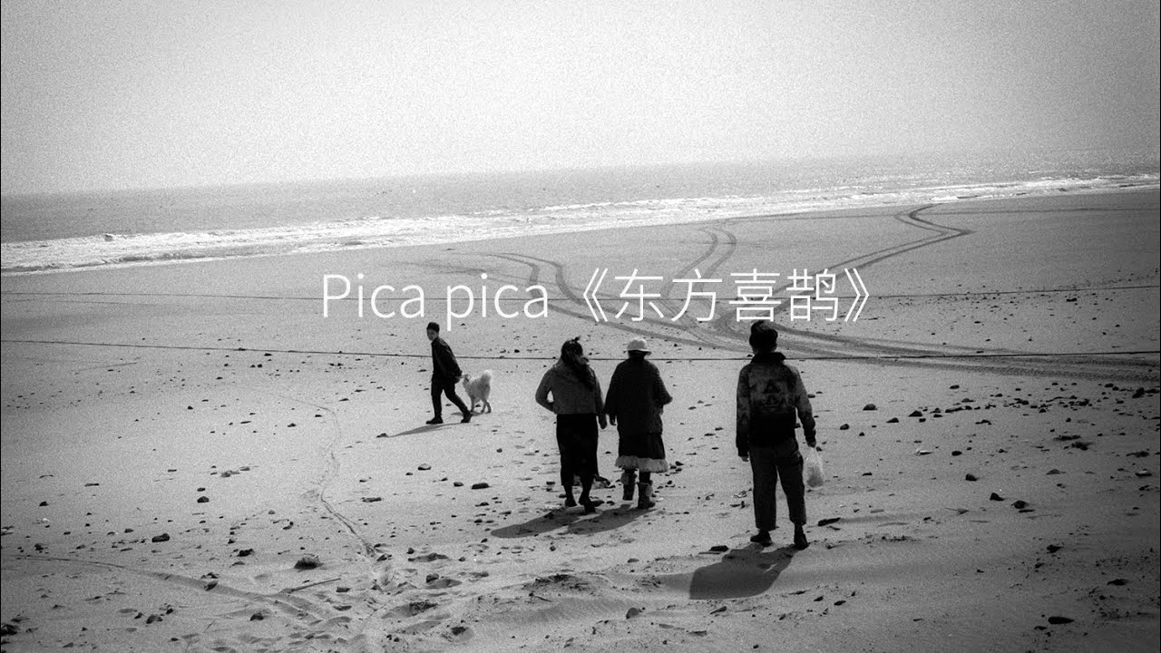 A Entrance member Photo | Pica pica - YouTube