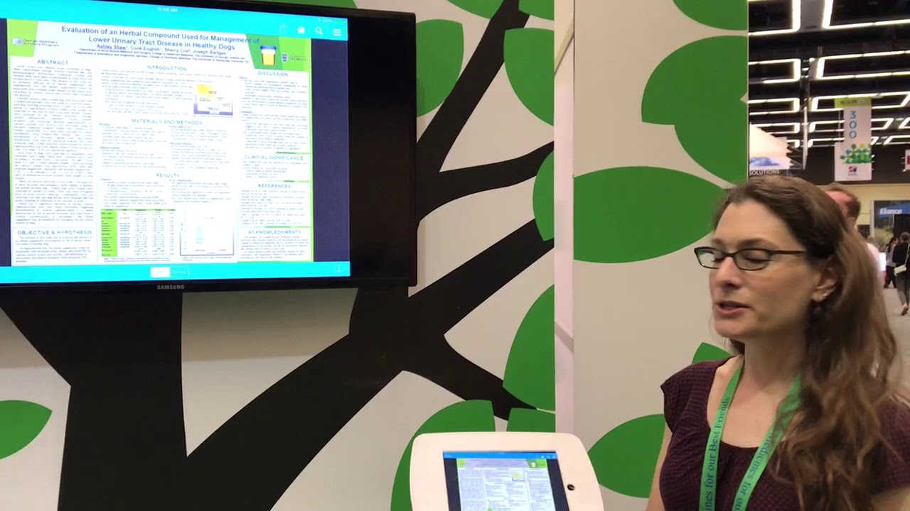 Study conducted by UGA VCM finds NHV Tripsy beneficial for cats and ...