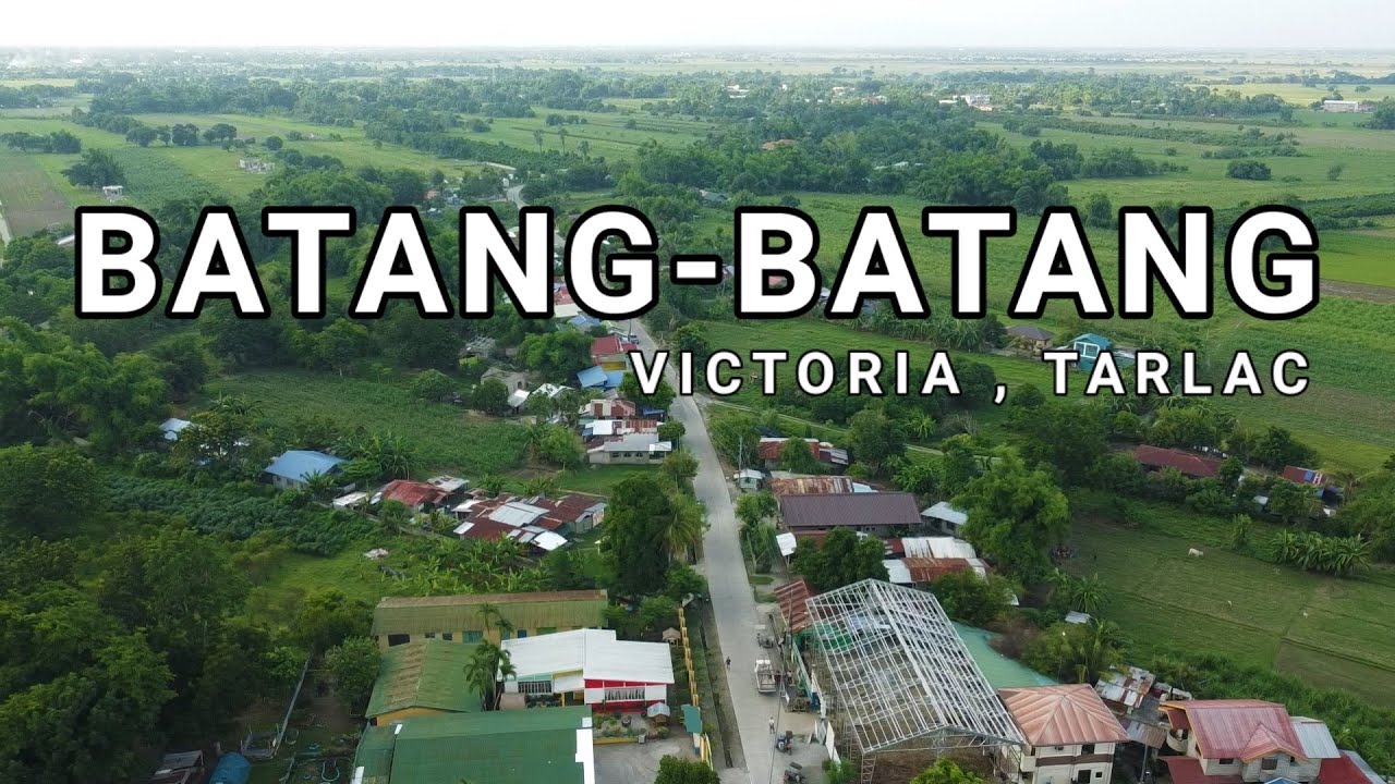 Brgy. BatangBatang Victoria,TarLac - YouTube