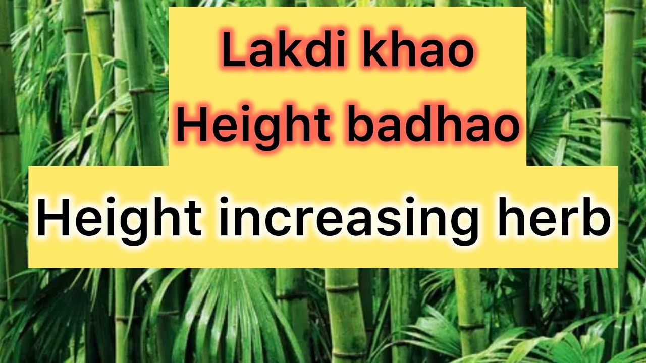 Bamboo simple pickle Bamboo shoots Bans ka achaar Bamboo recipe lakdi ...