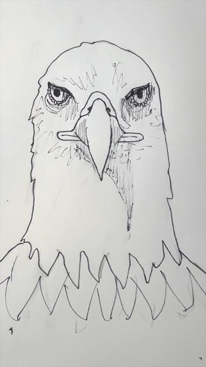 Draw an eagle 🦅 Easy drawing lesson for beginners on how to draw an ...
