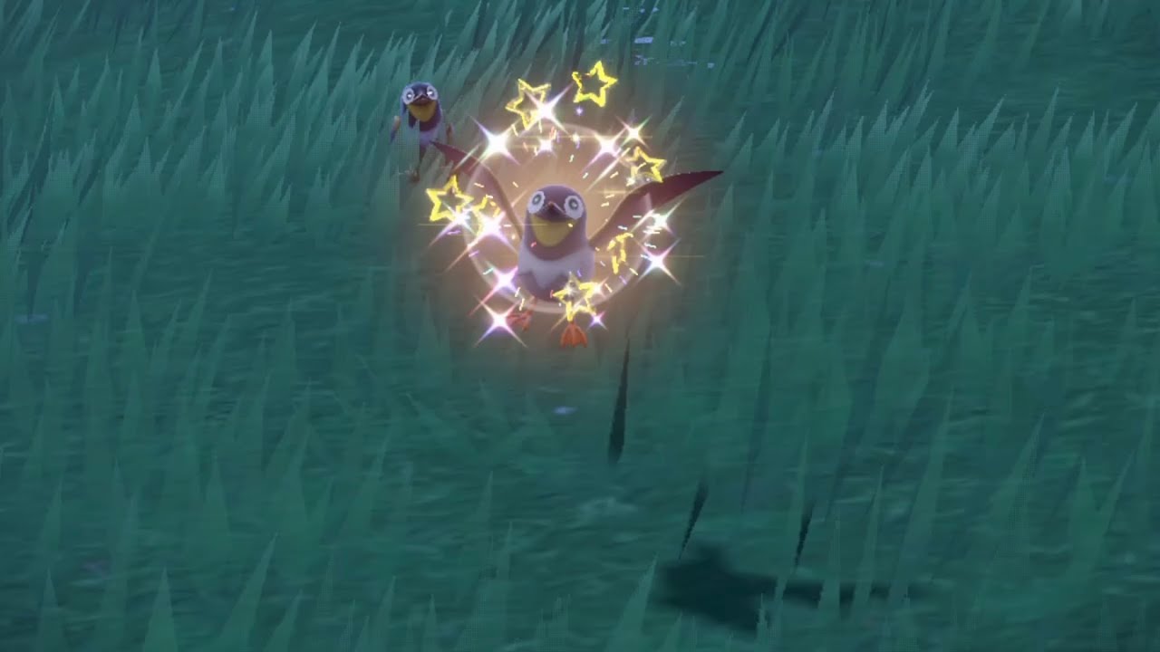 Shiny Wattrel in Pokémon Violet - YouTube