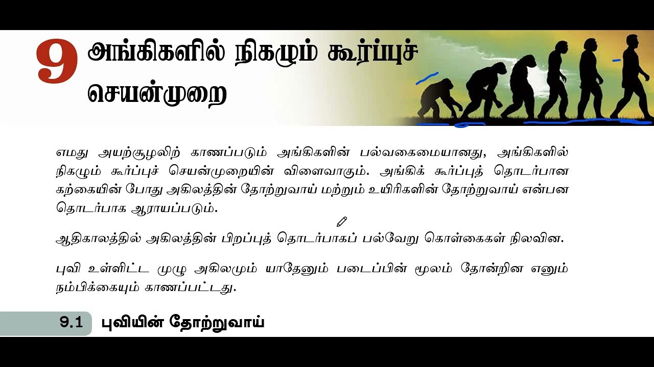 Grade 9 Science Unit 9 Chapter 1 - YouTube