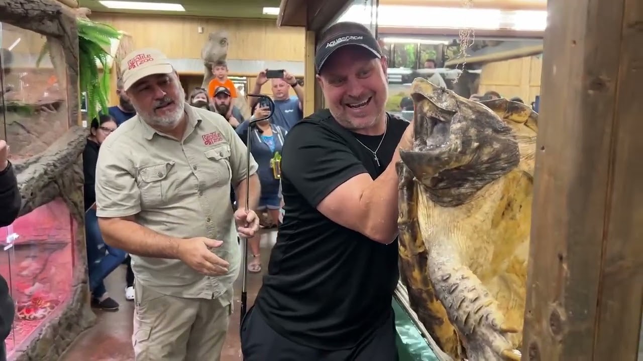 Ancient Snapping Turtles And Giant Alligators With Greg The Pong Guy ...