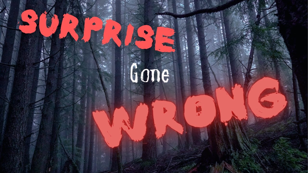 Scary Story 7 - Surprise Gone Wrong - Forest Edition - YouTube