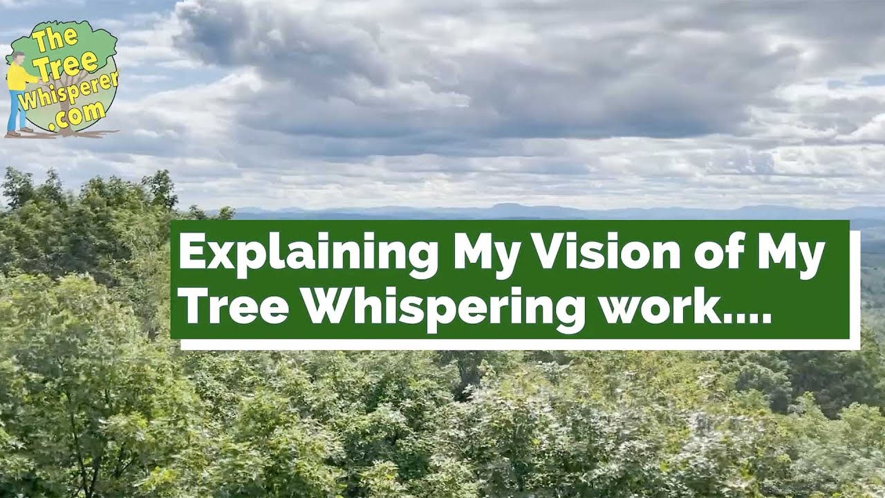 Explaining My Vision of My Tree Whispering Work - YouTube