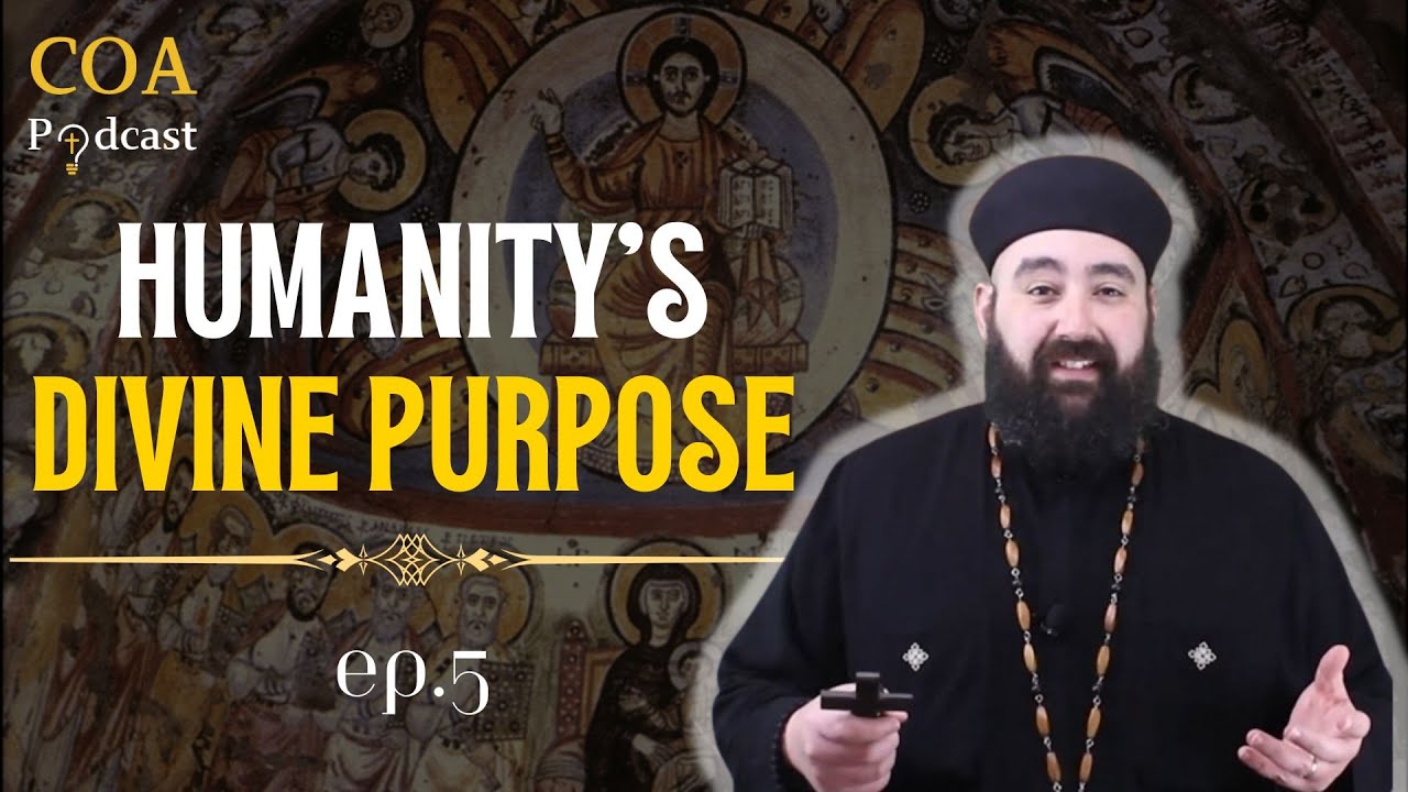 What is the purpose of Life Humanity’s Divine Purpose - YouTube