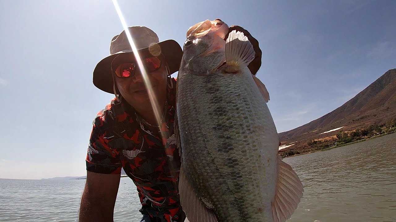 Pesca en Chapala en semana santa ,excelente pesca - YouTube