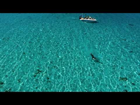 Extreme Trans Ocean - 2016