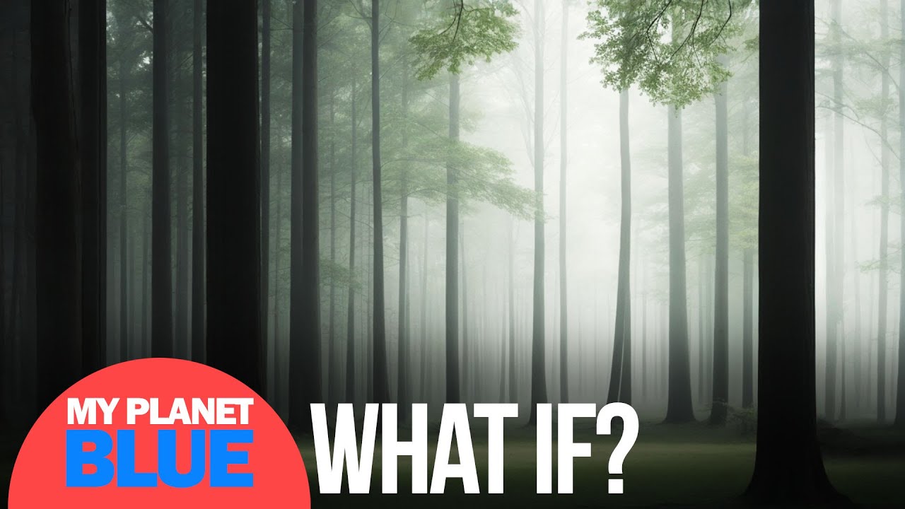 What If: Sound Did Not Exist? #science #whatif #sound - YouTube
