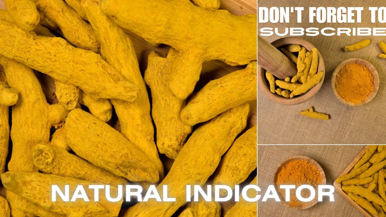 Experiment Showing Turmeric As an Natural Indicator | Chemistry | BHM ...