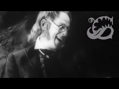 Песенка о капитане ♫ на губной гармошке