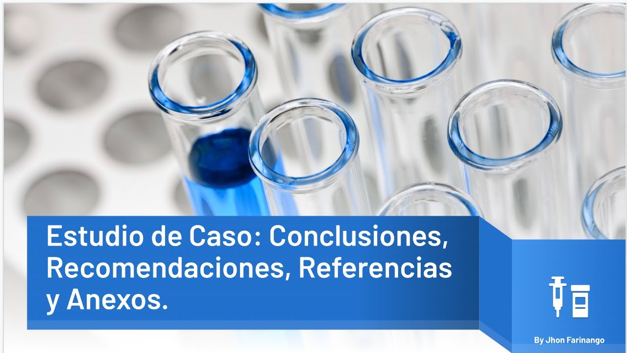 Estudio de Caso: Conclusiones, Recomendaciones, Referencias y Anexos ...