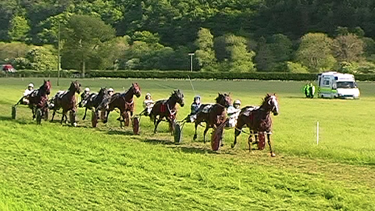 Knighton Harness Races 2007 Grade A Final - YouTube
