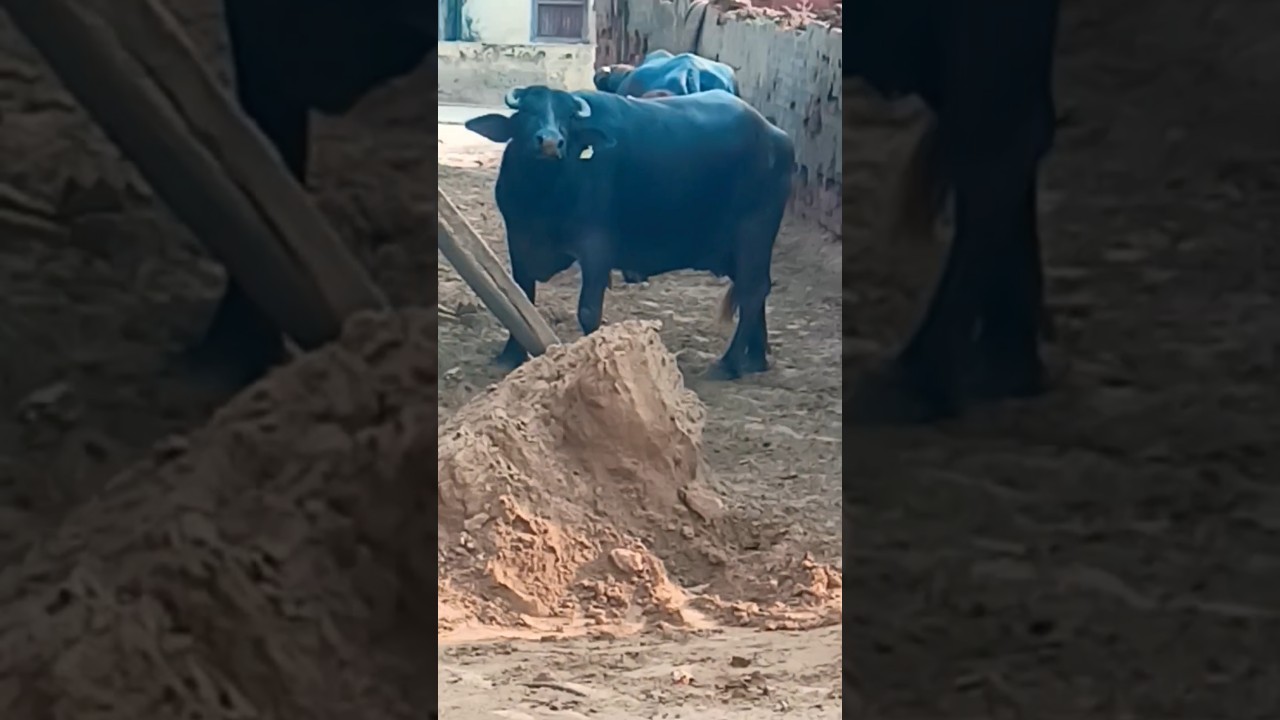 December 14, 2024 - YouTube