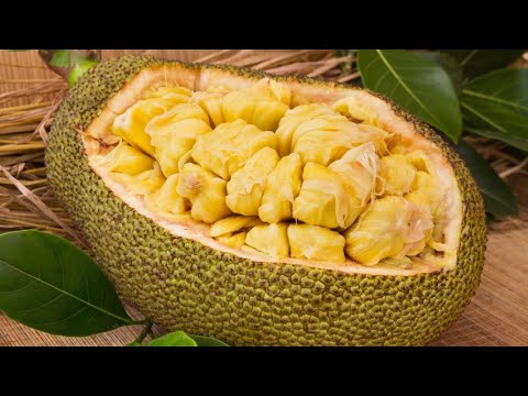 How To Cut 3 kg Jackfruit Easily At Home | Easy way to cut Jack fruit ...