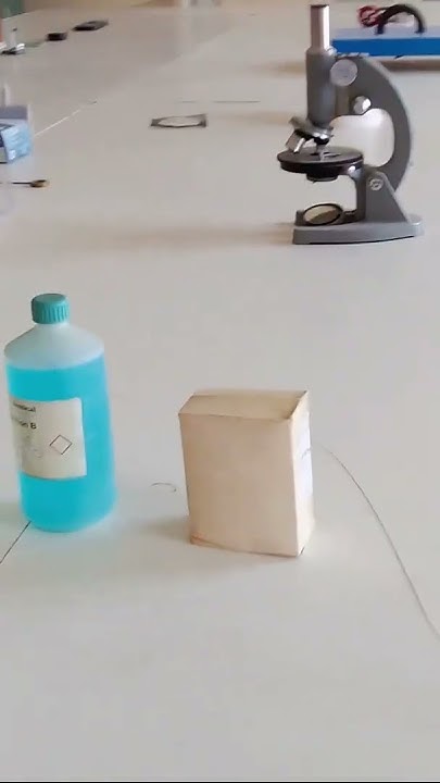 Science lab - YouTube