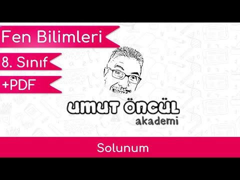 Fen Bilimleri | 8.Sınıf | Enerji Dönüşümleri | Solunum
