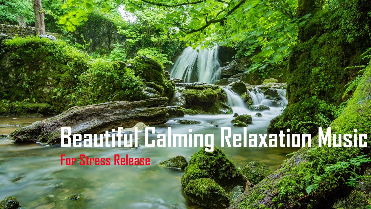 Beautiful Calming Relaxation Music: Relaxing Music, Stress Release ...