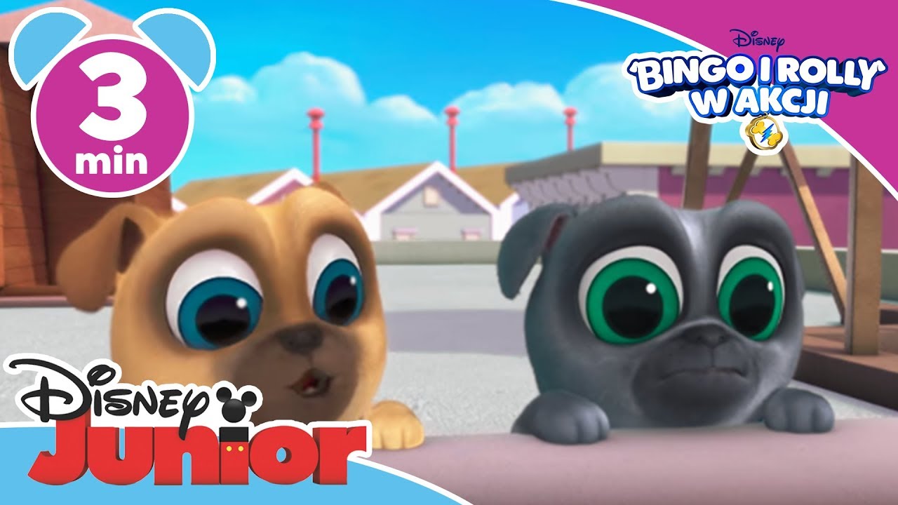 Bingo i Rolly w akcji: Ulubiona piłka Boba - YouTube